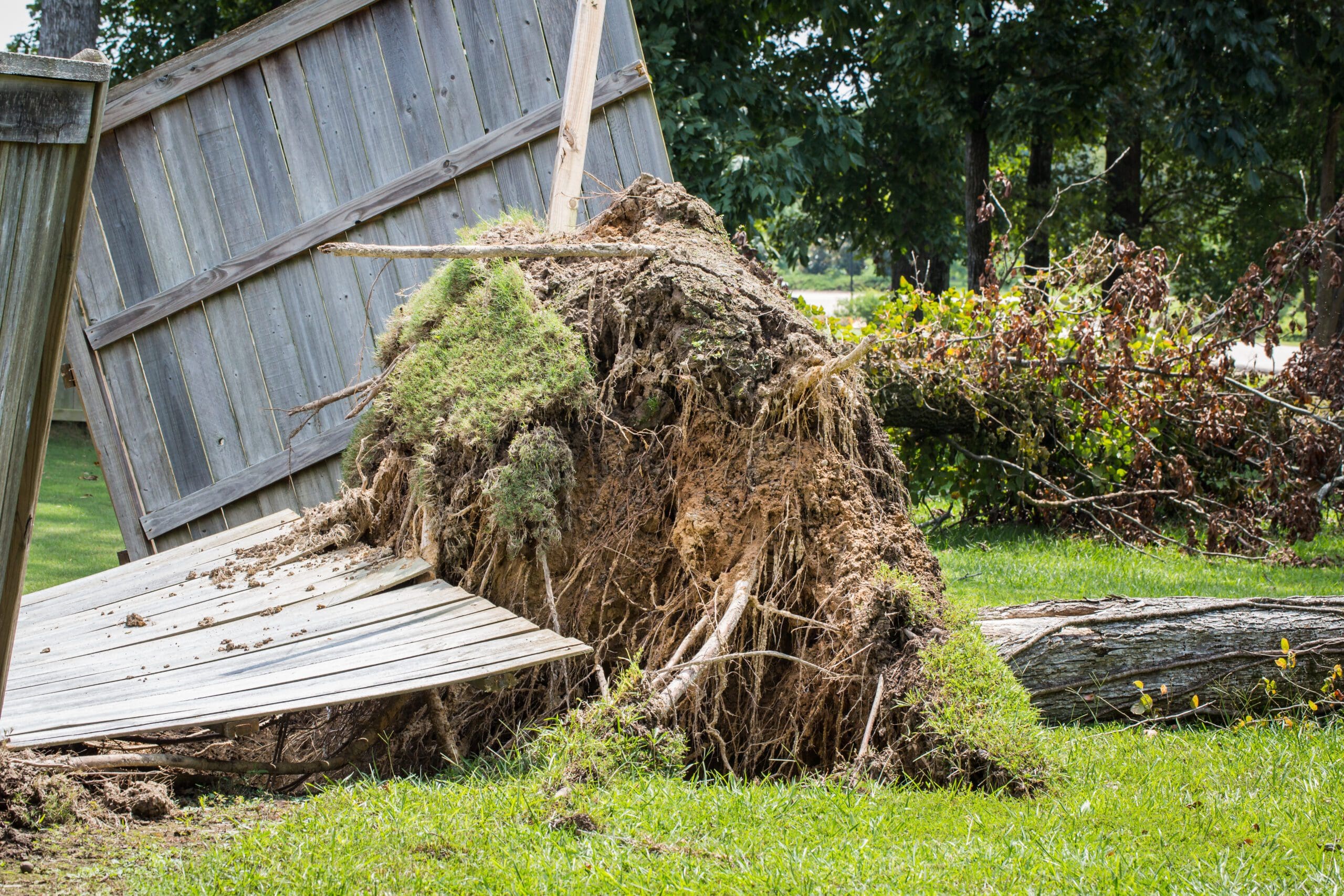Neighbor Tree Damage: Understanding Your Legal Rights and ...